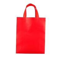 China 100% Polypropylene Non Woven Shopping Bag 120gsm Anti Static Reusable Tote for sale