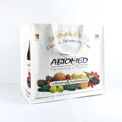 China Custom Non Woven Shopping Bag 80-100GSM Polypropylene Tote with Silk Screen Printing for sale