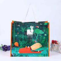 China 120gsm Laminated Polypropylene Woven Shopping Bag Tear Resistant Custom Size for sale