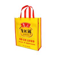 China Custom PP Laminated Non Woven Handle Bag 80gsm Anti Shrink Eco Friendly Tote for sale
