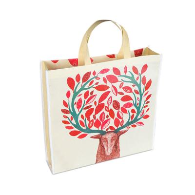 China Custom PP Laminated Non Woven Handle Bag 80gsm Anti Shrink Eco Friendly Tote for sale