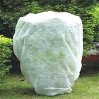 China PP Spunbond Nonwoven Fabric 165gsm Breathable Agricultural Weed Control 2m Width for sale