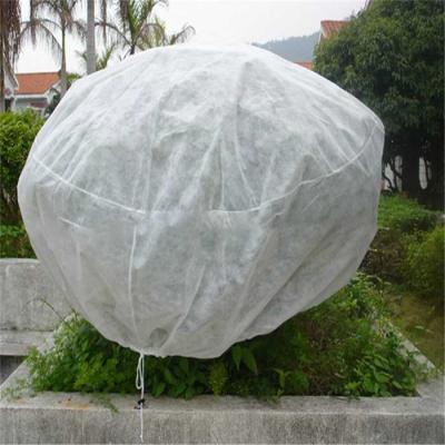 China PP Spunbond Nonwoven Fabric 165gsm Breathable Agricultural Weed Control 2m Width for sale