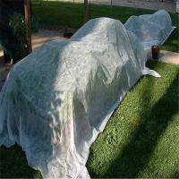 China PP Spunbond Nonwoven Fabric 165gsm Breathable Agricultural Weed Control 2m Width for sale