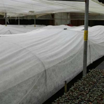 China 160gsm Agriculture Non Woven Fabric 190cm White Tear Resistant PP Spunbond for sale