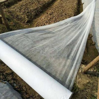 China Recyclable Agricultural Non Woven Fabric 170cm Width 100% Polypropylene Roll Breathable for sale