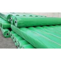 China 200gsm Agriculture Non Woven Fabric 320cm Green PP Spunbond for Park Plants for sale