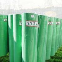 China 200gsm Agriculture Non Woven Fabric 320cm Green PP Spunbond for Park Plants for sale