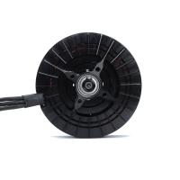 China M6C06 IPE Anticorrosive Brushless DC Motor for sale