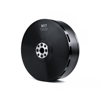 China M17 PRO IPE Industrial Brushless DC Motor 15mm Shaft Diameter for Heavy Lift Drones for sale