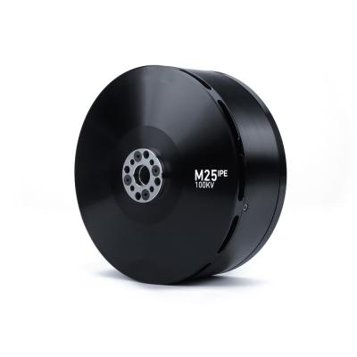 China M25 IPE Brushless DC Motor 100KV 10878W 39.4kg Thrust 15mm Shaft for Manned Drones for sale