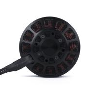 China V8013 IPE V1.0  Brushless DC Motor Drone for sale