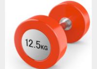 China Durable Gym Fitness Dumbbell / Gym Accessory PU Dumbbell Color Optional for sale