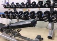 China 1540MM PU 3.0mm Pipe Multifunctional Weight Lifting Bench for sale