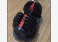 China Exercise Cement Adjustable 12.5lbs Gym Fitness Dumbbell for sale