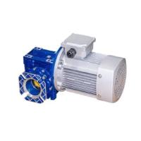 China Small Speed Nrv Series Worm Gear Reducer with Extension Shaft for Industrial Machinery for sale