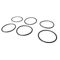 China Mercedes BENZ Truck Parts A0239976448 Single Pump Oil Seal Upper O Ring Seal for sale