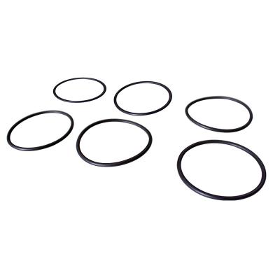 China Mercedes BENZ Truck Parts A0239976448 Single Pump Oil Seal Upper O Ring Seal for sale