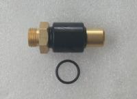 China Safety Valve 3173104 23082305 8151922 1622431 Truck Parts For Volvo FH FM for sale