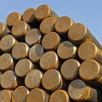 China ASTM Q195 Carbon Steel Bar A36 A53 3 - 6mm Hot Rolled ISO Certificate For Industry for sale