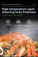 China 10 Tray GN Commercial Combi Steam Oven Stainless Steel One Touch Cooking OEM Design for sale