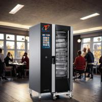 China Commercial Hotel Kitchen Combi Oven 20 Trays Mobile Restaurant Convection Oven for sale