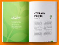 China 800G 1000G Instruction Booklet Printing Spiral Bound Planner Printing for sale