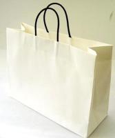 China Embossed Printing Paper Bag 250gsm Printed Paper Carrier Bags for sale