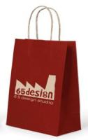 China Embossed Printing Paper Bag 250gsm Printed Paper Carrier Bags for sale