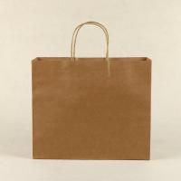 China Embossed Printing Paper Bag 250gsm Printed Paper Carrier Bags for sale