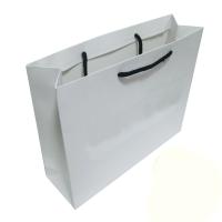 China Embossed Printing Paper Bag 250gsm Printed Paper Carrier Bags for sale