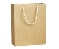 China Embossed Printing Paper Bag 250gsm Printed Paper Carrier Bags for sale