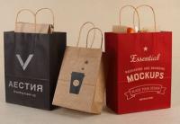 China Embossed Printing Paper Bag 250gsm Printed Paper Carrier Bags for sale