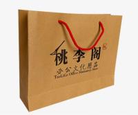 China Embossed Printing Paper Bag 250gsm Printed Paper Carrier Bags for sale