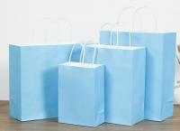 China Embossed Printing Paper Bag 250gsm Printed Paper Carrier Bags for sale