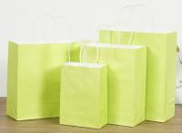China Embossed Printing Paper Bag 250gsm Printed Paper Carrier Bags for sale