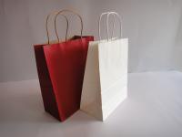 China Embossed Printing Paper Bag 250gsm Printed Paper Carrier Bags for sale