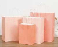 China Embossed Printing Paper Bag 250gsm Printed Paper Carrier Bags for sale
