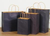 China Embossed Printing Paper Bag 250gsm Printed Paper Carrier Bags for sale