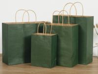 China Embossed Printing Paper Bag 250gsm Printed Paper Carrier Bags for sale