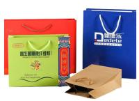 China Embossed Printing Paper Bag 250gsm Printed Paper Carrier Bags for sale