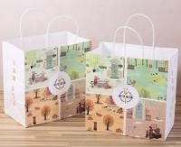 China Embossed Printing Paper Bag 250gsm Printed Paper Carrier Bags for sale