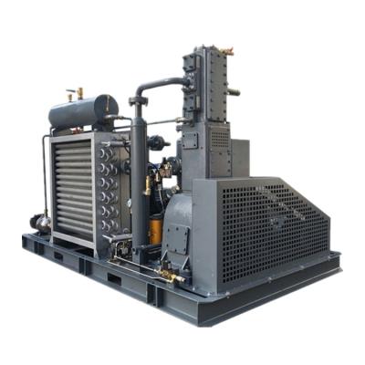 China 3Mpa 4Mpa Piston Booster Screw Air Compressor For PET Blowing Machine Energy Saving for sale