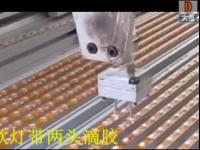 China Customizable LED Strip Light Auto Glue Dispenser Machine for L6000xw1200xh1500mm Size for sale