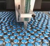 China Electric Driven CCD AB Component Glue Dispensing Metering Machine for Silicone Potting for sale