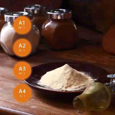 China Water Extraction Reishi Extract Polysaccharides Organinc Ganoderma Spore Powder for sale