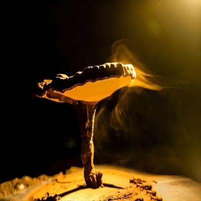 China Mature Reishi Mushroom Spore Oil Brown Powder Ganoderma Lucidum Extract for sale