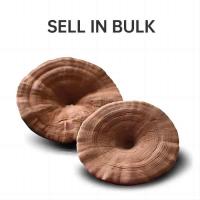 China Sleep Aid Dried Ganoderma Lucidum Reishi Ganoderma Lucidum For Food Supplement for sale