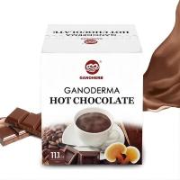 China Smooth Texture Reishi Mushroom Coffee Mixture Ganoderma Deep Flavor for sale