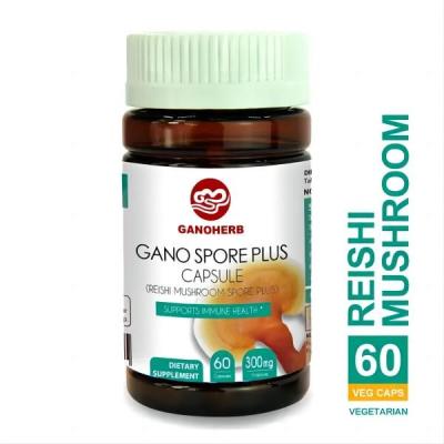 China Bulk Spore Extract Reishi Mushroom Powder Gluten Free Ganoderma Lucidum Capsule for sale
